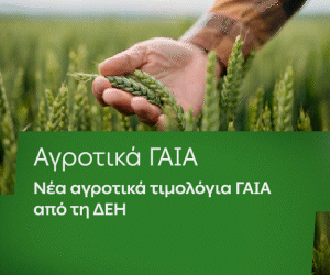 Elassonanews.gr - Τα νέα της Ελασσόνας!